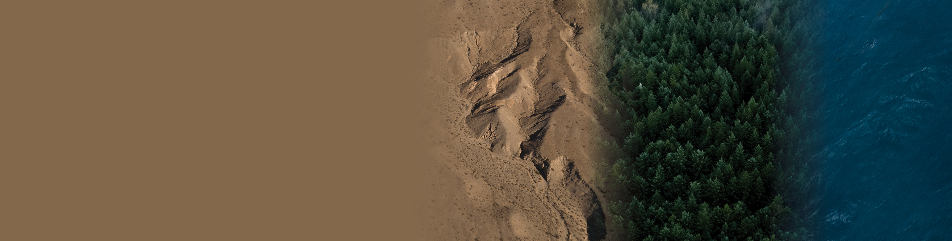 CBP Customer Service